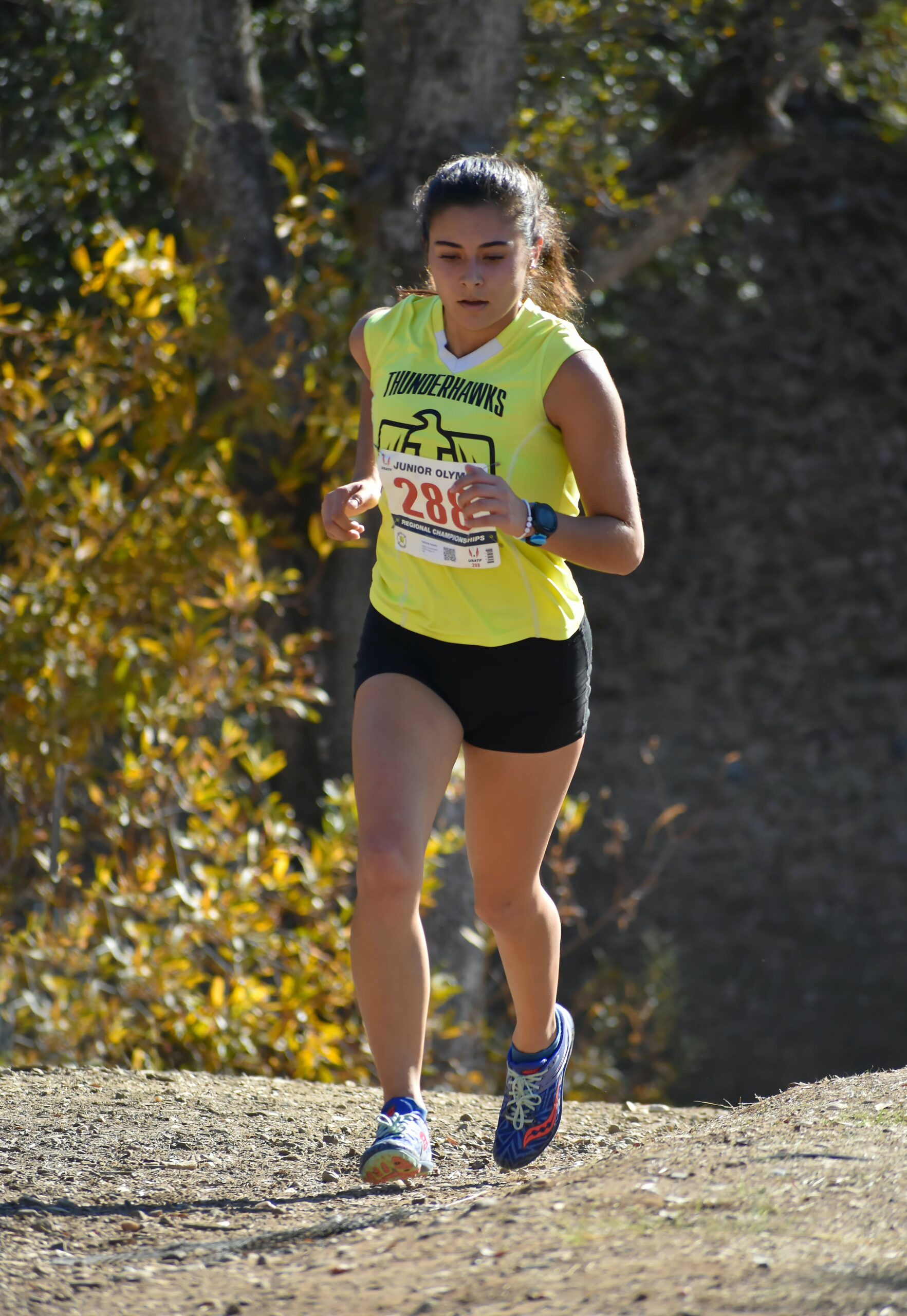 A Comprehensive Guide to Cross Country Running - The Ultimate Lineup A Comprehensive Guide to Cross Country Running - The Ultimate Lineup