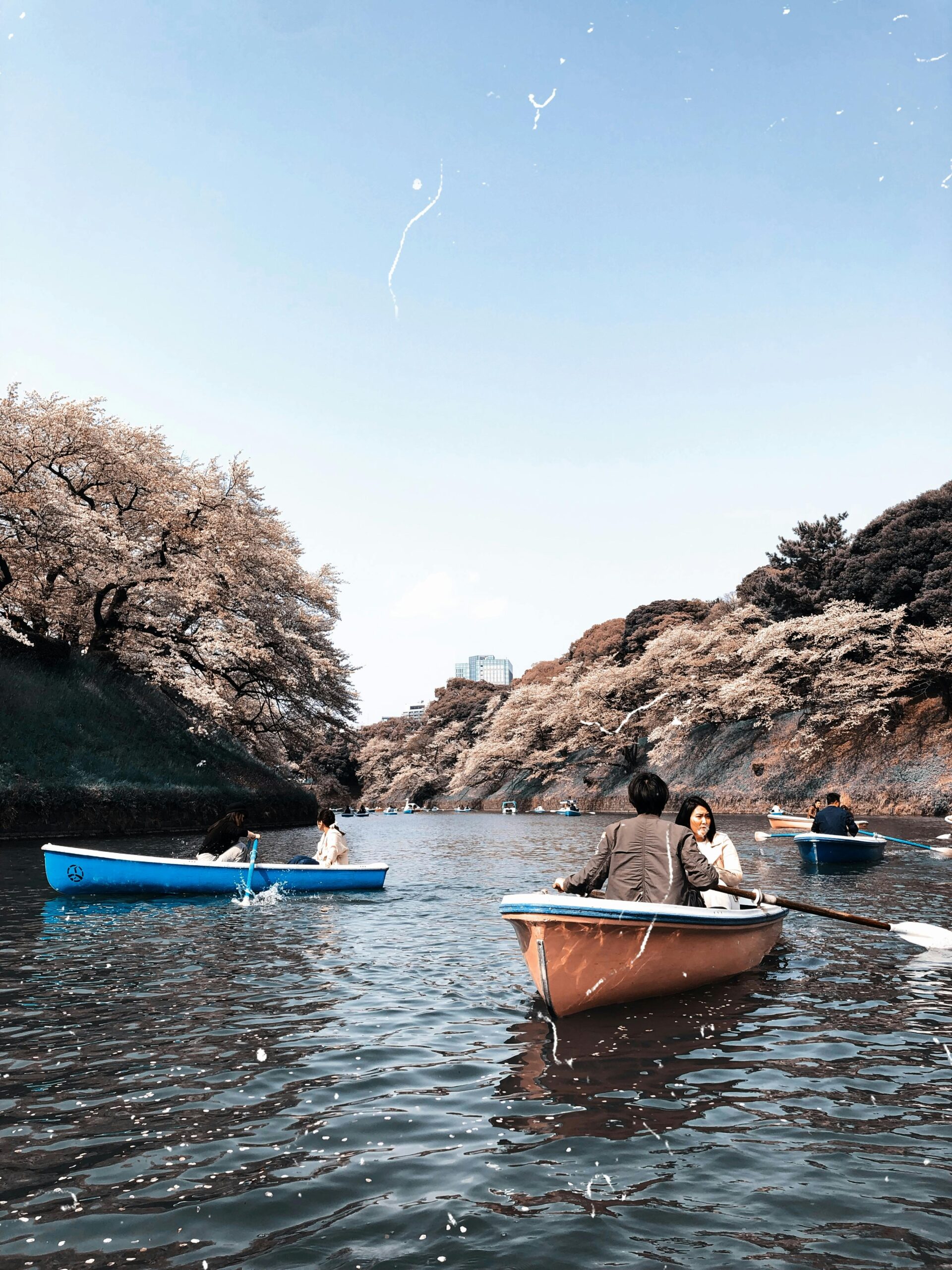 Learning to Canoe and Row: Building Stronger Bodies, Minds, and ...